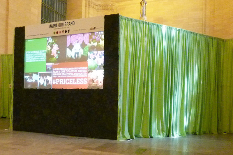 Supervel Fresh Cut Green Event Drape – Drape Kings
